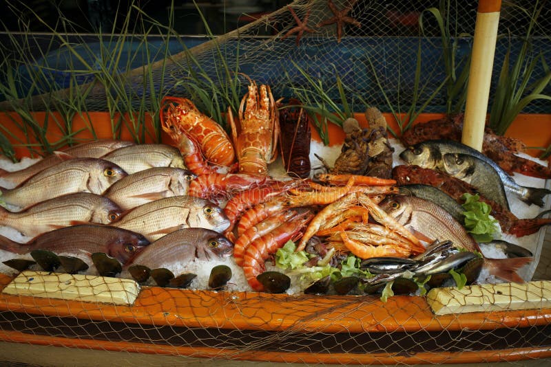 Mediterranean Seafood Display Stock Photo - Image of mediterranean ...