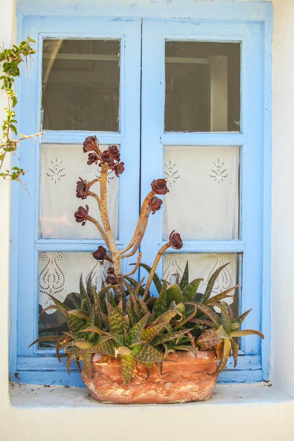 Greek Style Windows with Flowerpot on Him Stock Image - Image of ...