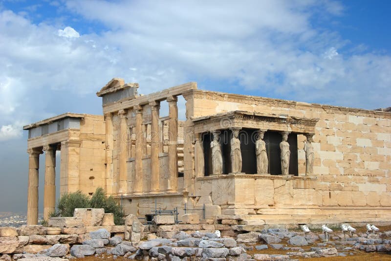 Greek Temple and Olive Tree Stock Image - Image of columns, classic ...