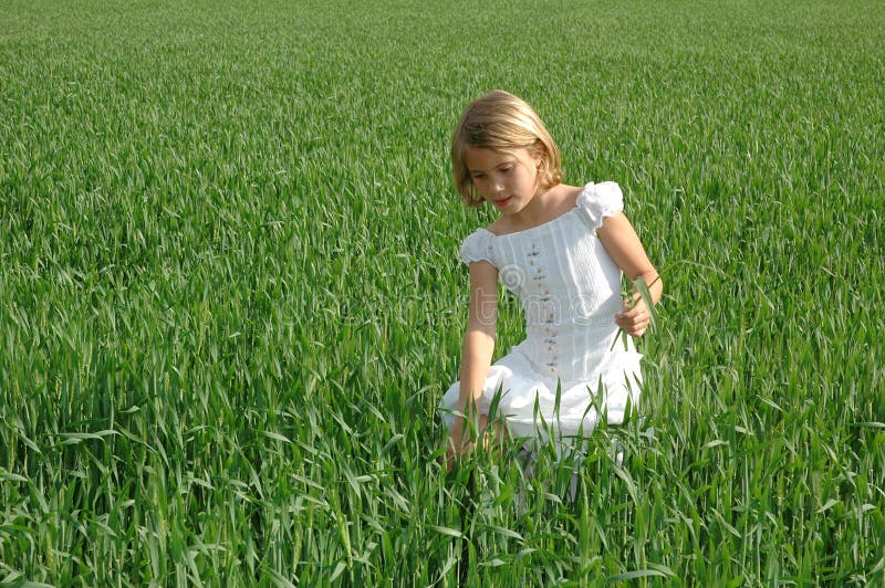 Business people at work stock image. Image of ambition - 2169155