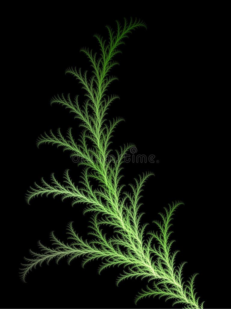 Fern Lines Stock Illustrations – 2,013 Fern Lines Stock Illustrations ...