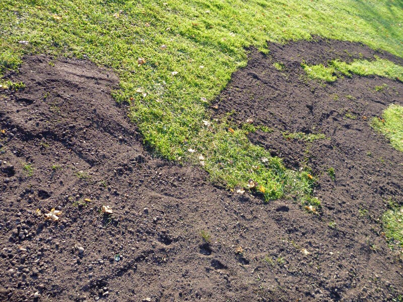 Green Abd Brown Grass and Soil Pattern Stock Image - Image of organic ...