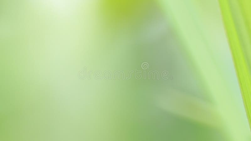 Green Abstract Background Gradient Color for Graphic Resource. Stock ...