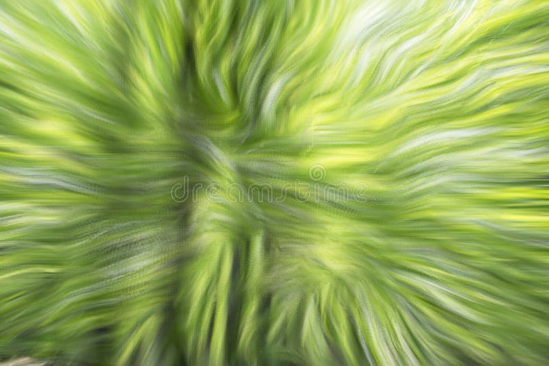 Abstract Background Of A Forest Stock Image - Image of colorful, spring ...