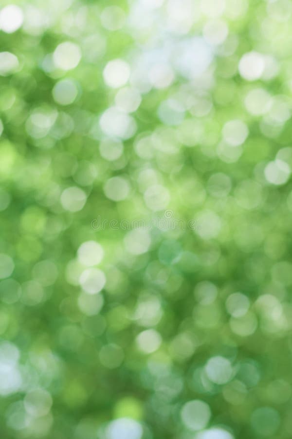 Green Abstract Blur Background Texture Stock Photo - Image of glow ...