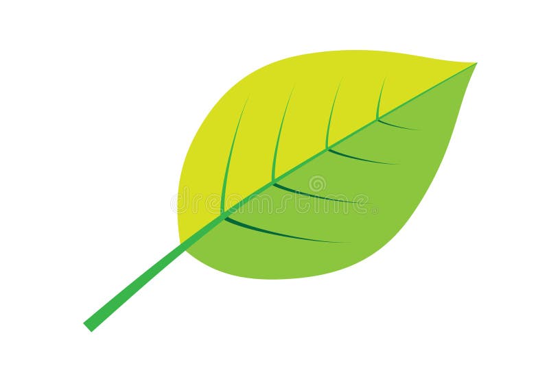Leave Stock Illustrations – 78,577 Leave Stock Illustrations, Vectors ...