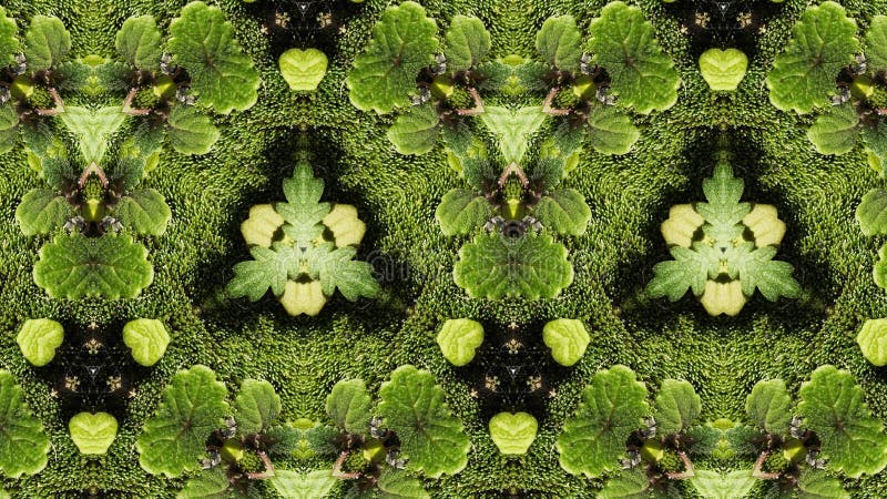 Green Abstract Macro Pattern Stock Image - Image of creative, floor ...