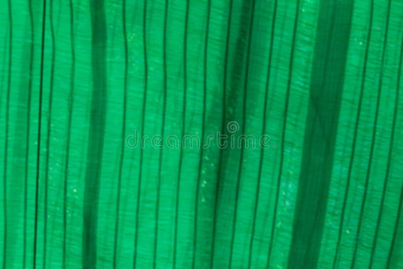 Green Abstract Plastic Sheet Useful for Background Stock Image - Image ...