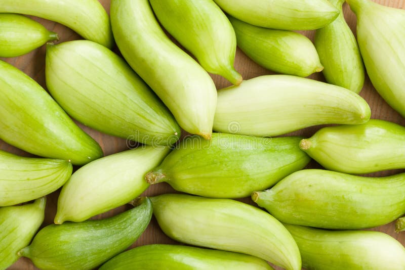 Green achocha stock image. Image of food, cayua, achocha - 16553587