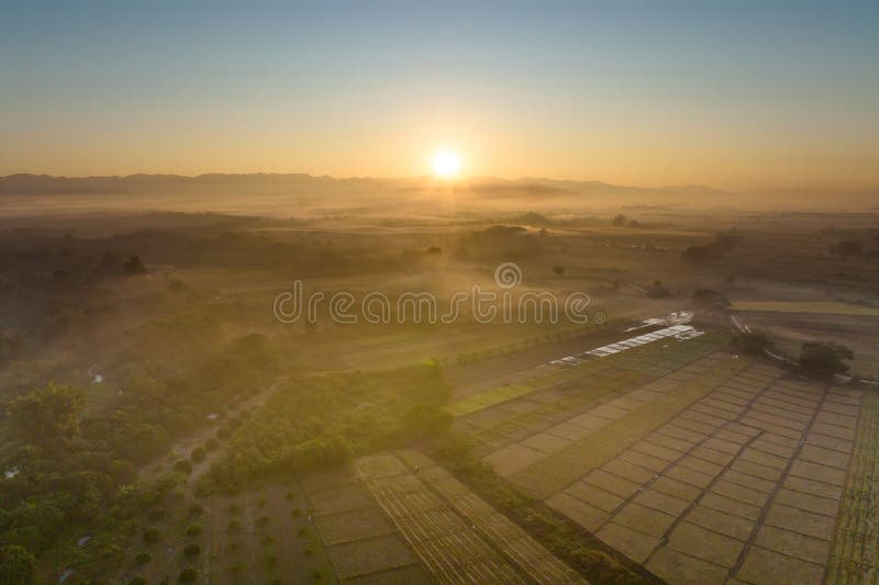 Green Agriculture Fields from Aerial View Stock Photo - Image of ...
