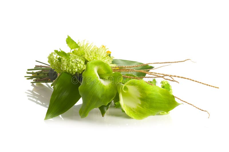 Green Alepes kalla bouquet stock image. Image of bouquet - 37105945