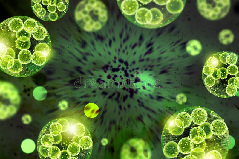 Green Algae Cells 3D Illustration Stock Illustration - Illustration of ...