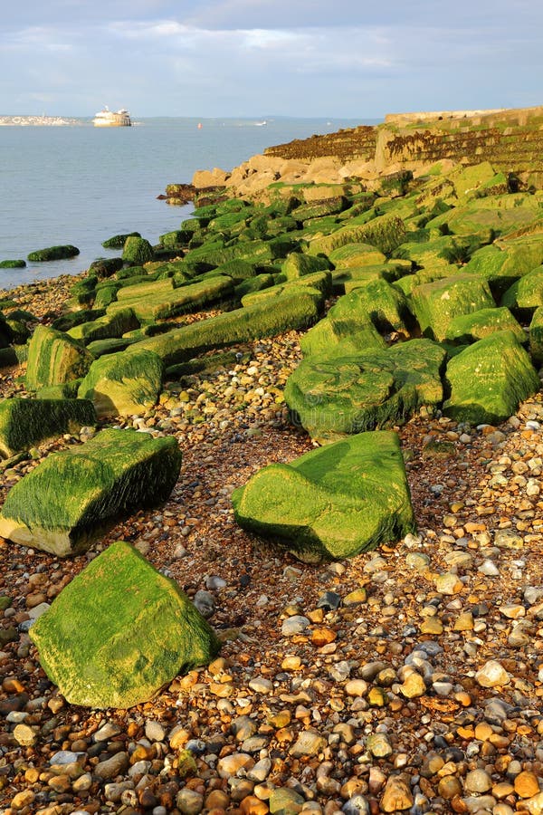 Green Algae Covered Rocks stock image. Image of stones - 59415769