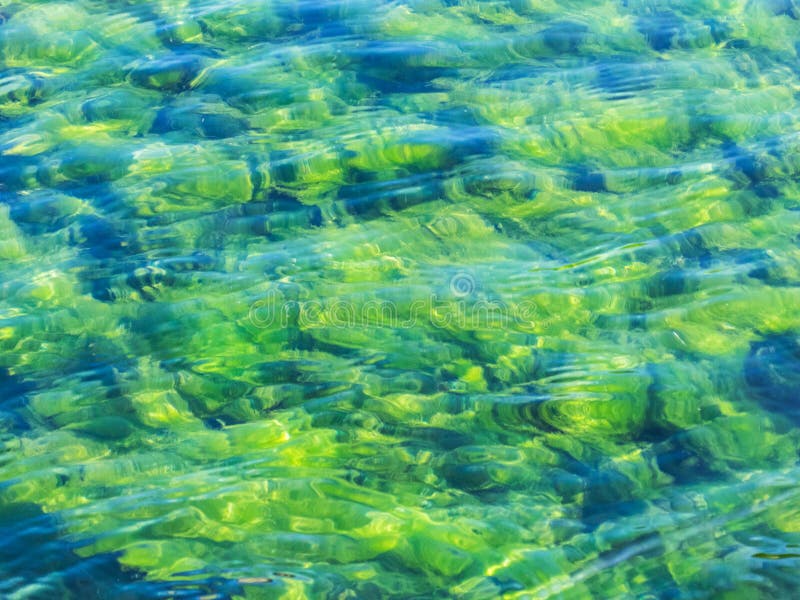 Green Algae Under the Clear Water Background Stock Image - Image of ...