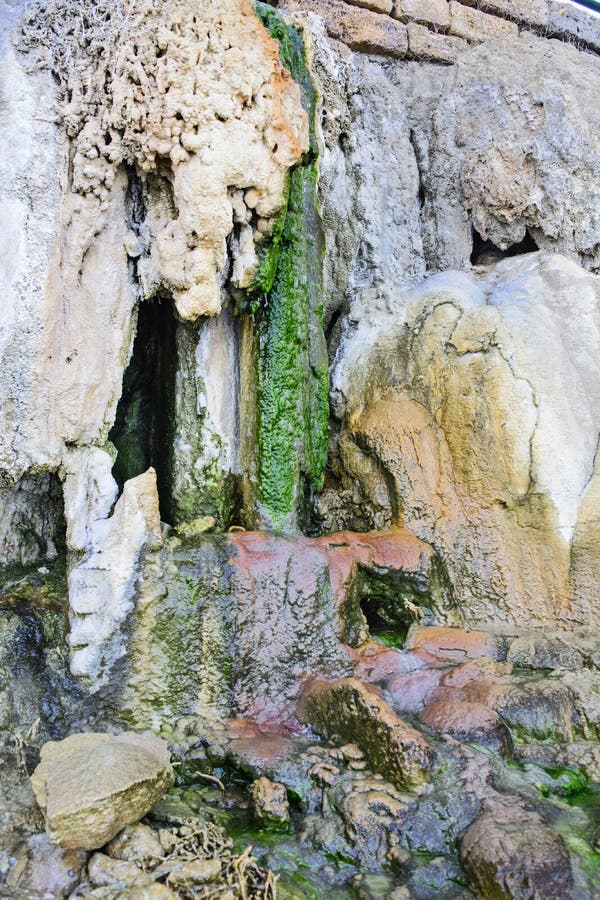 Green algae wall stock photo. Image of flow, glossy, surface - 74430900