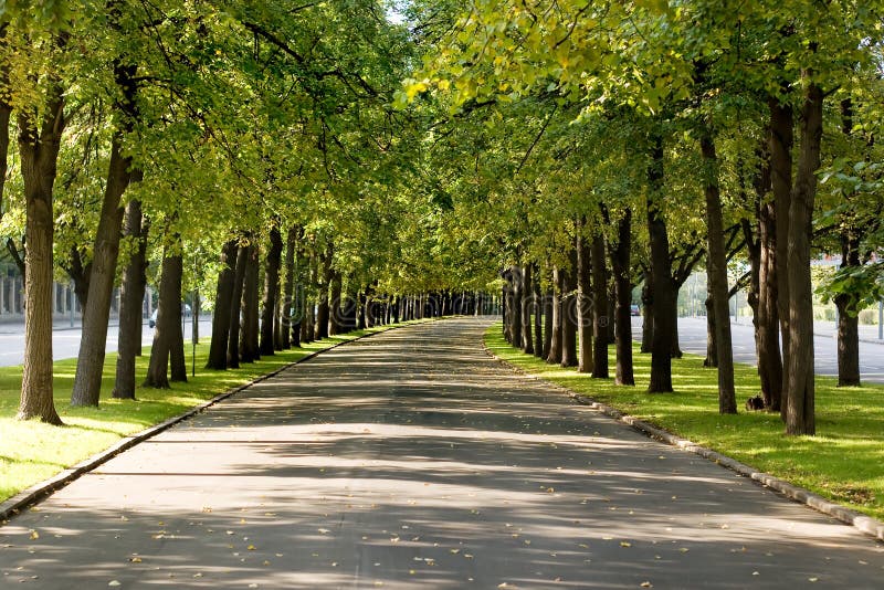 Green Alley Picture. Image: 7860594