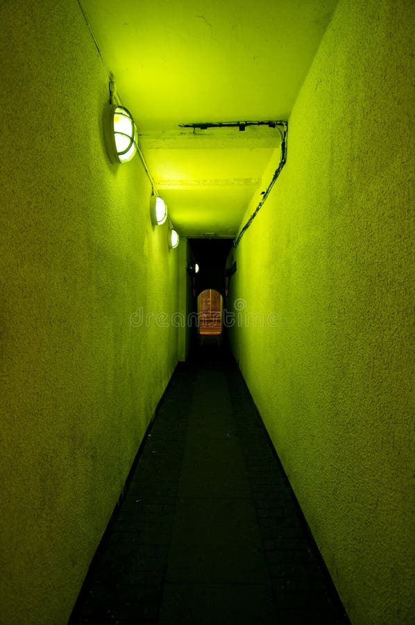 Green Alley Picture. Image: 8217479