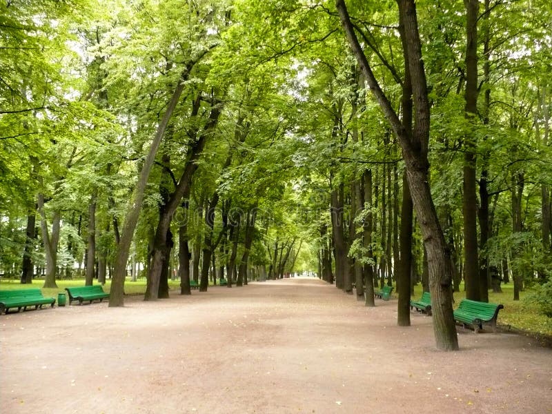 Green Alley in Town stock photo. Image of color, perspective - 8937226