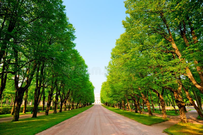 Green Alley in Town stock photo. Image of color, perspective - 8937226