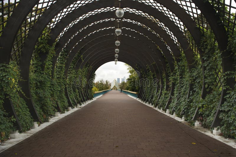 Green alley to the park stock image. Image of lamp, road - 30786723