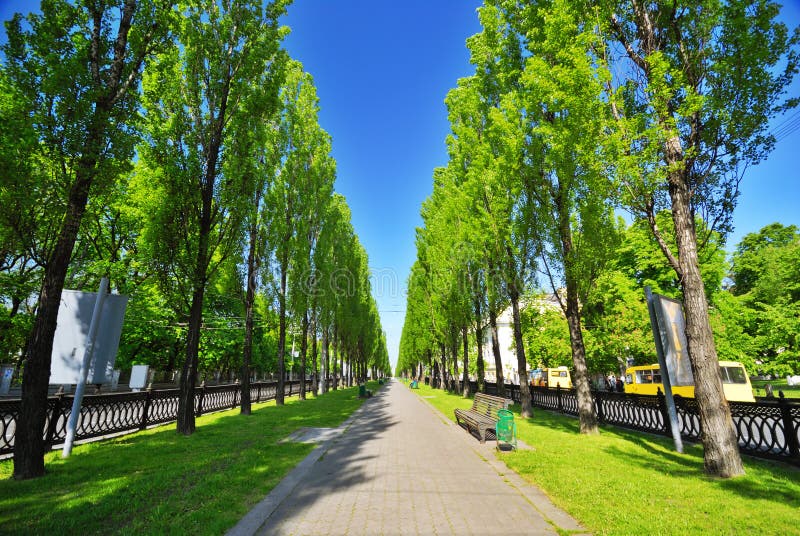 Green Alley in Town stock photo. Image of color, perspective - 8937226