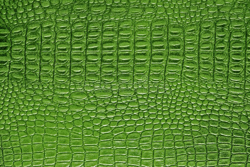 Green Alligator Skin stock photo. Image of background, reptile - 552464