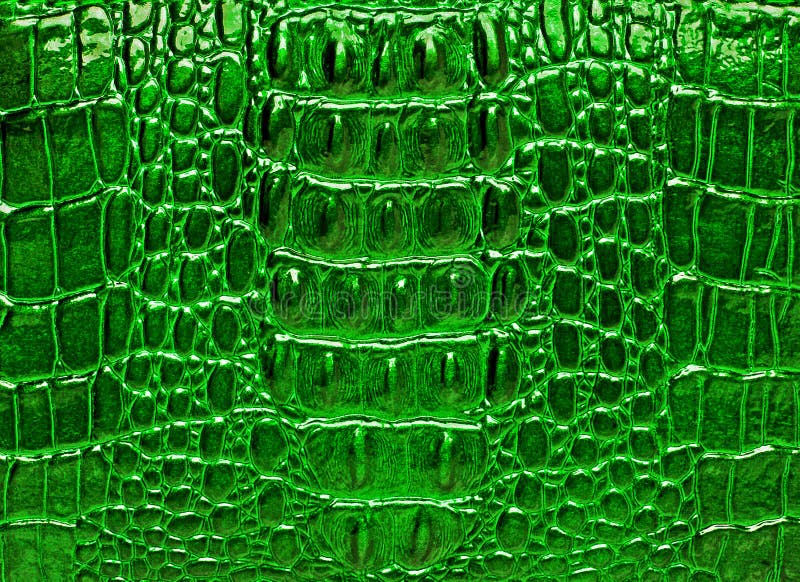 Green Alligator Skin Texture for Background Stock Image - Image of ...