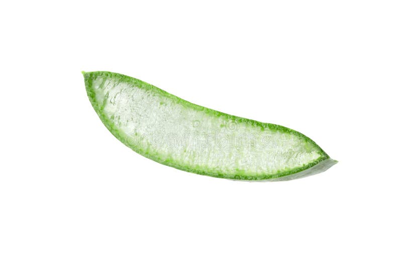 Green Aloe Vera Slice Isolated on White Stock Image - Image of leaf ...