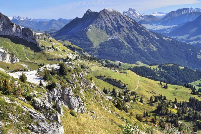 Green Alpine Meadows and First Light Snow Stock Photo - Image of swiss ...
