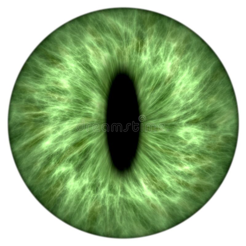 Green animal iris stock illustration. Illustration of beautiful - 35597502