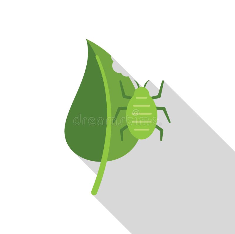 Green Aphid Sitting on a Green Leaf with Bite Marks Icon Stock ...