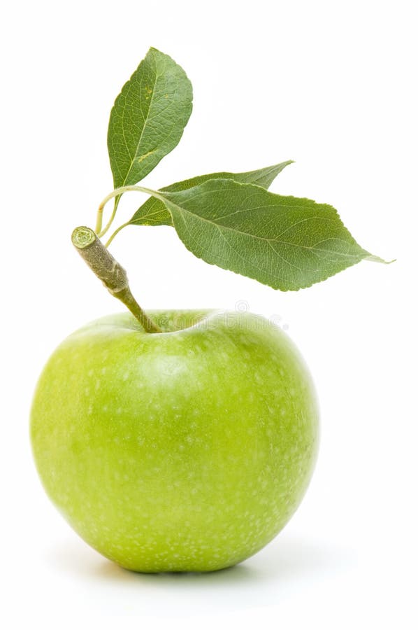 Green apple stock photo. Image of nature, closeup, shadow - 17861924