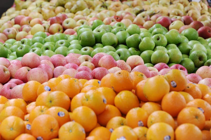 Apple production stock image. Image of factory, apples - 24449619