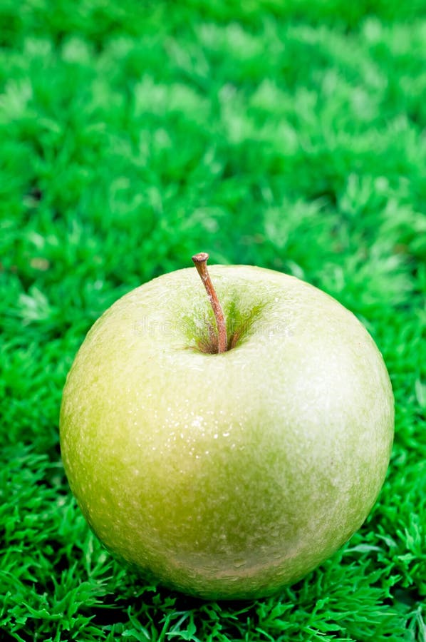 Green apple close up stock image. Image of macro, light - 24557735