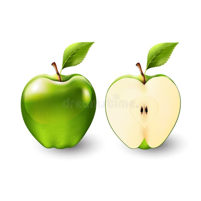 Apple Half Stock Illustrations – 18,948 Apple Half Stock Illustrations ...