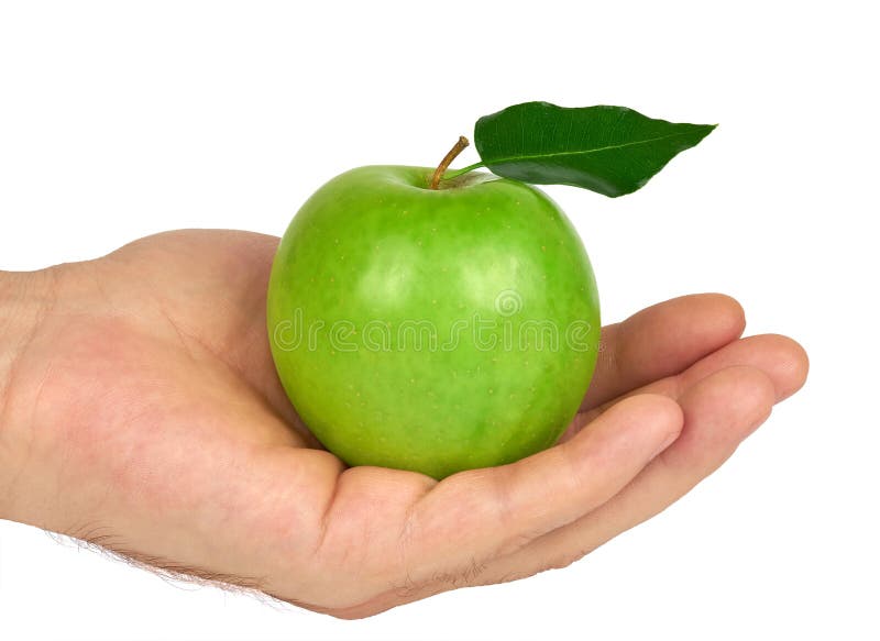 Green Apple in Hand stock image. Image of closeup, fruit - 49965985