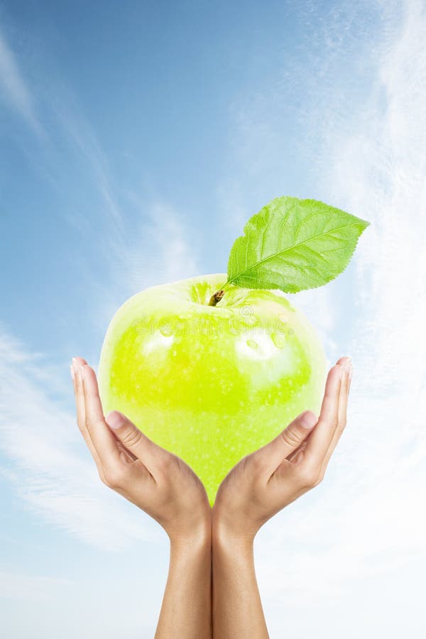 Temptation stock photo. Image of apple, single, hands - 7921840