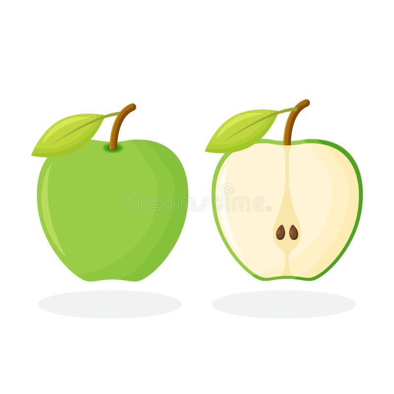 Apple Half Split Stock Illustrations – 117 Apple Half Split Stock ...
