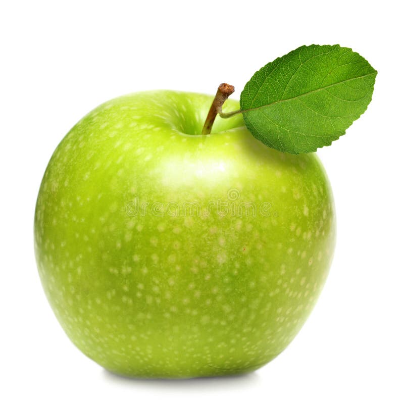 Green apple stock photo. Image of oily, waterproof, fresh - 5303800