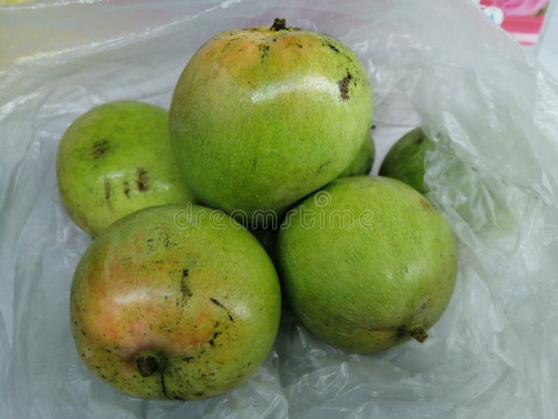 Green Apple Mangoes Not for Sale ðŸ˜‚ Stock Photo - Image of sale ...