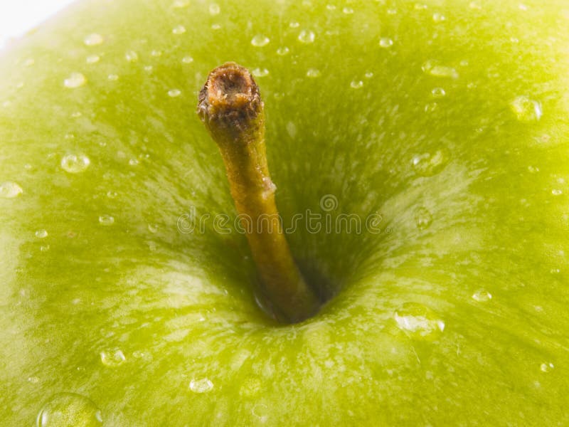 Green apple stem stock image. Image of detail, round, produce - 2244355