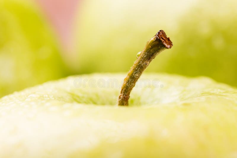Green Apple with Stem and Water Drop Close Up Stock Image - Image of ...