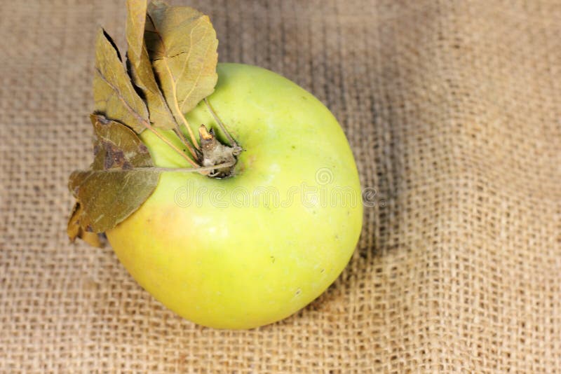 Red ripped apple fruit stock image. Image of beautiful - 122560335