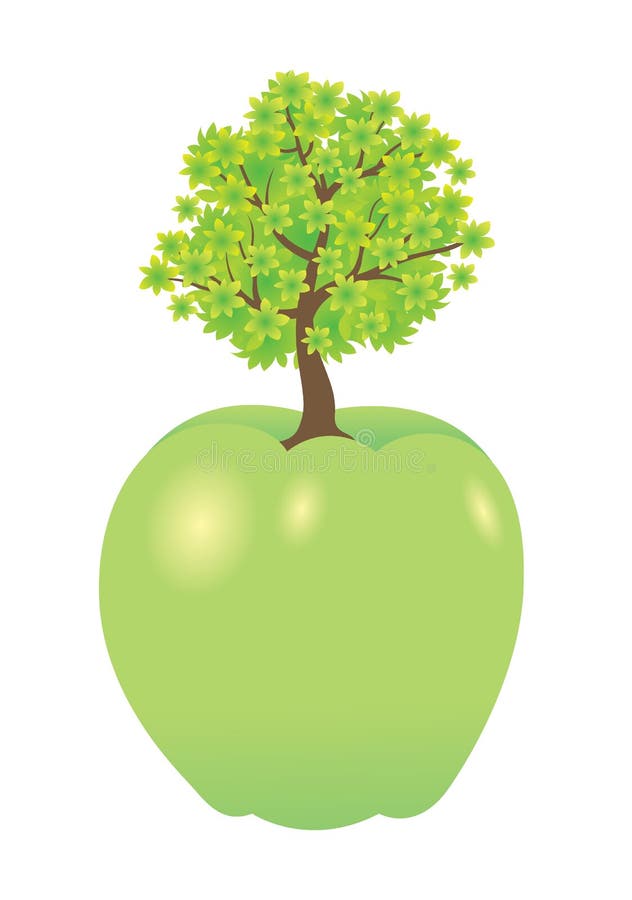 Green apple with tree stock vector. Illustration of design - 65290684