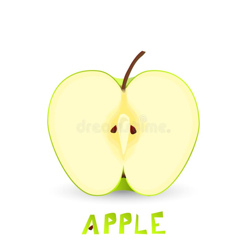 Green Apple. Vector Illustration Stock Illustration - Illustration of ...