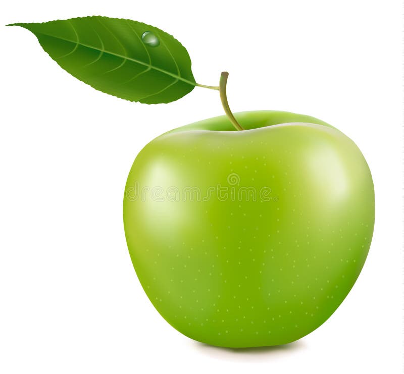 Green apple. Vector stock vector. Illustration of green - 37250039