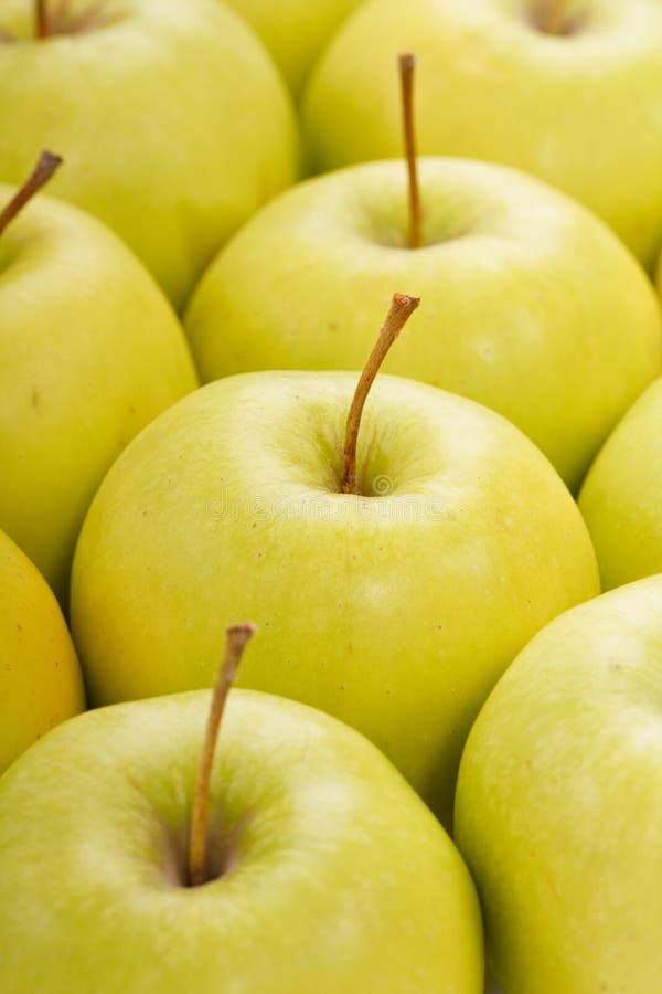 Green apples stock photo. Image of health, granny, shadow - 13362154