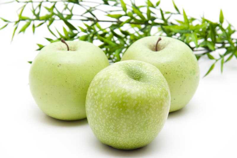 Green apples stock photo. Image of fruit, healthy, stem - 21858158