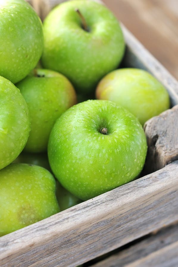 Green apples stock photo. Image of green, stem, snack - 22135442
