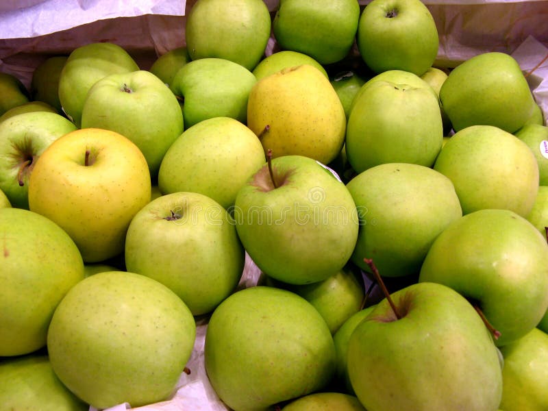 Green apples stock photo. Image of healthy, aliment, diet - 3163272